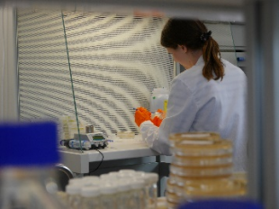 Leaf Expression Systems: How Harnessing the Power of Plants is Changing ...