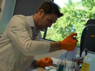 Leaf Expression Systems: How Harnessing the Power of Plants is Changing ...