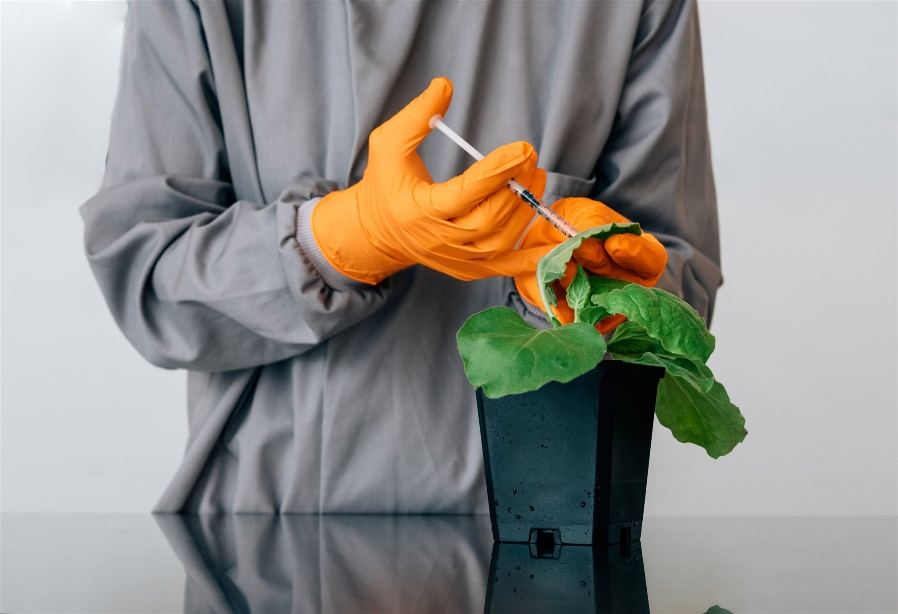 Leaf Expression Systems: How Harnessing the Power of Plants is Changing ...