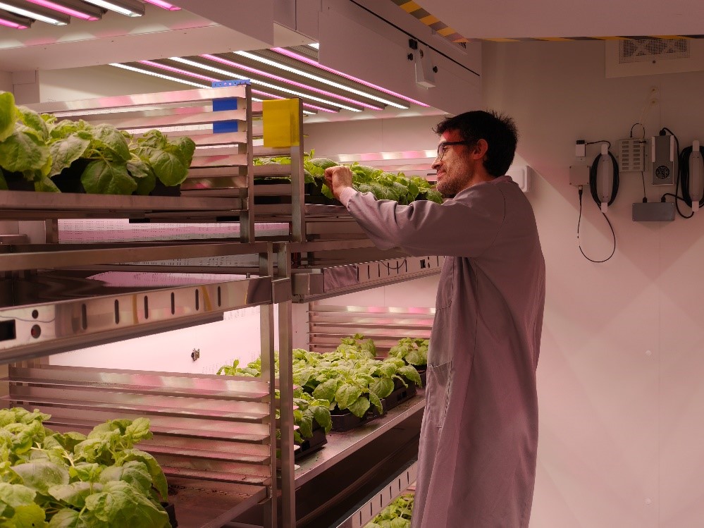 Leaf Expression Systems: How Harnessing the Power of Plants is Changing ...